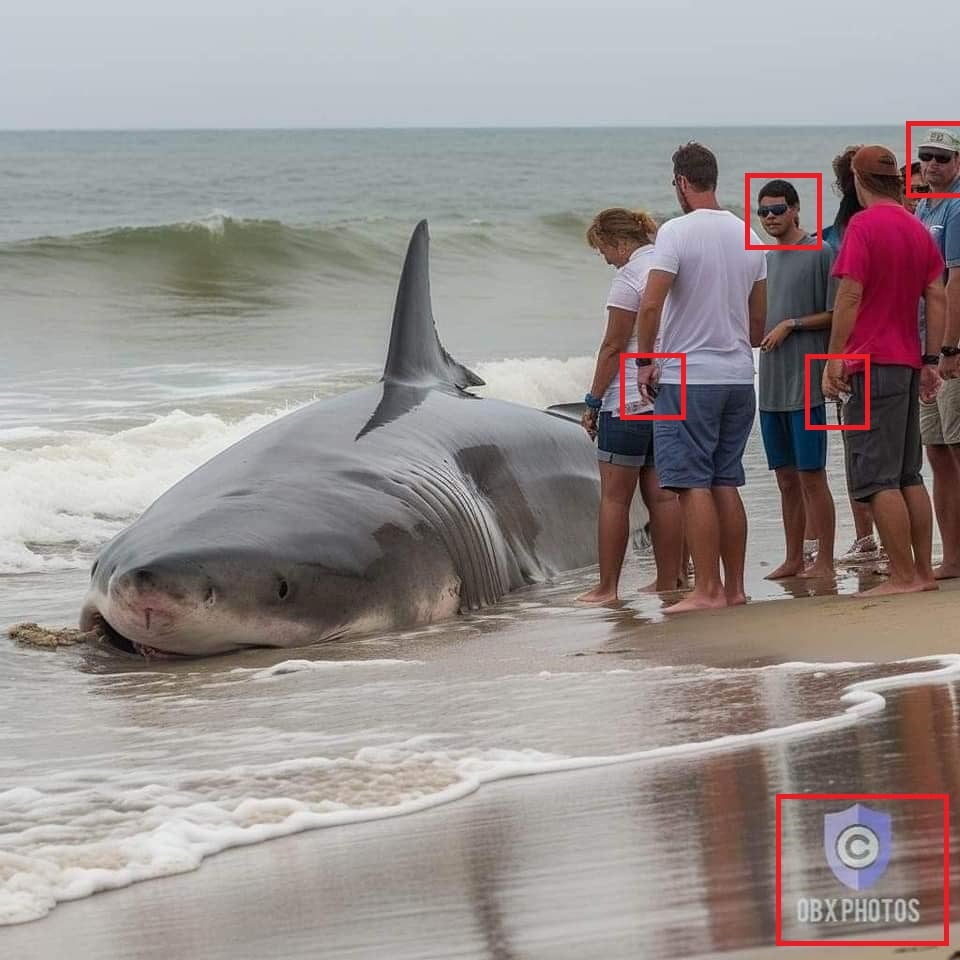 États-Unis : ces images d’un requin blanc échoué sur une plage en Caroline du Nord ne sont pas ...
